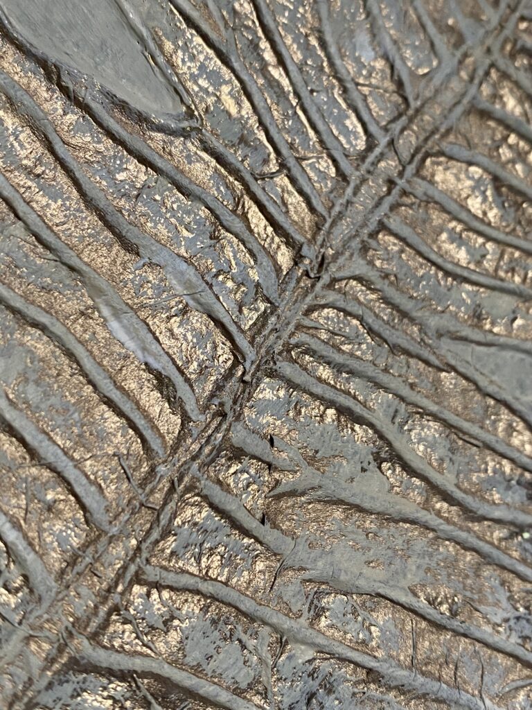 Fossil Leaf - Tiphanie Canada